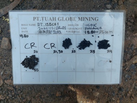Tuah Globe Mining